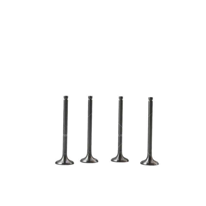 SA860B-04031 Lister Petter Exhaust Valve for Lister Petter SA427G1 ...